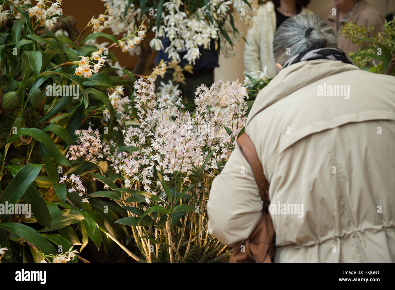 Lawrence and Lindley Halls, Westminster, London, UK. 29th March 2017 ...