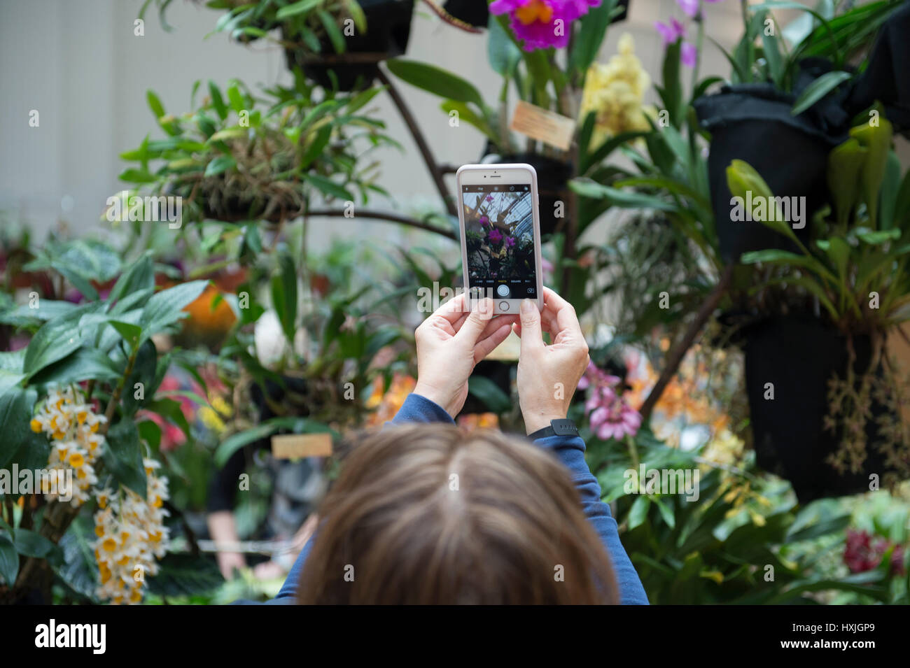 Lawrence and Lindley Halls, Westminster, London, UK. 29th March 2017 ...