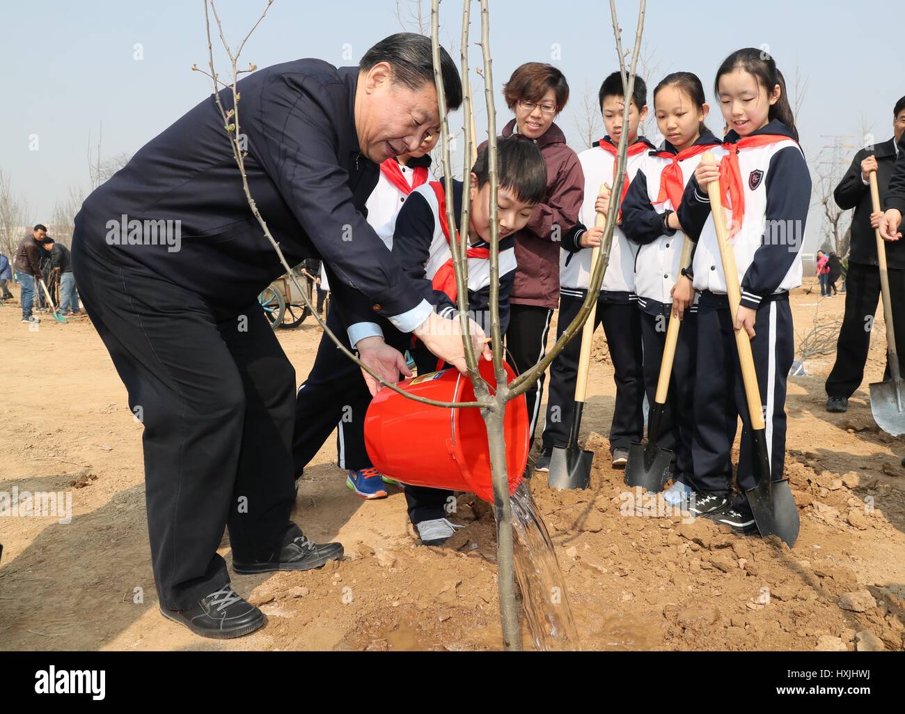 Planting trees china hi-res stock photography and images - Alamy