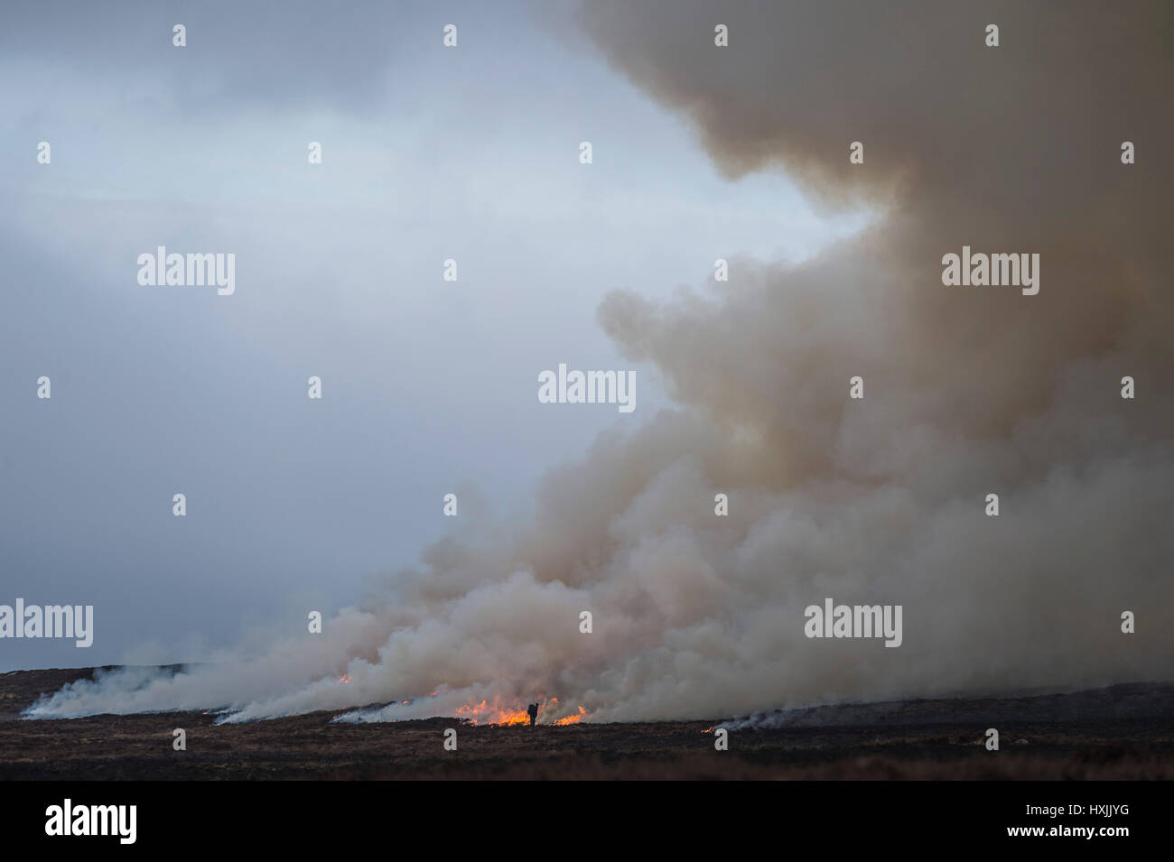A lone worker is dwarfed by smoke clouds from boring heather during a ...