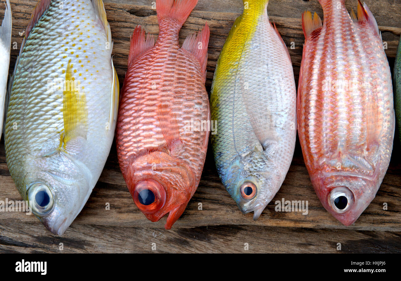 Mix seafood hi-res stock photography and images - Alamy