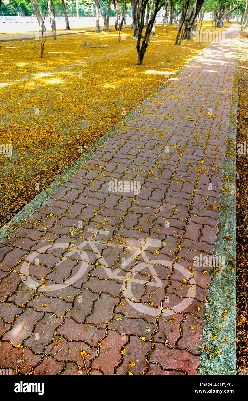 bike pavement in Sprinkled with flowers Stock Photo - Alamy