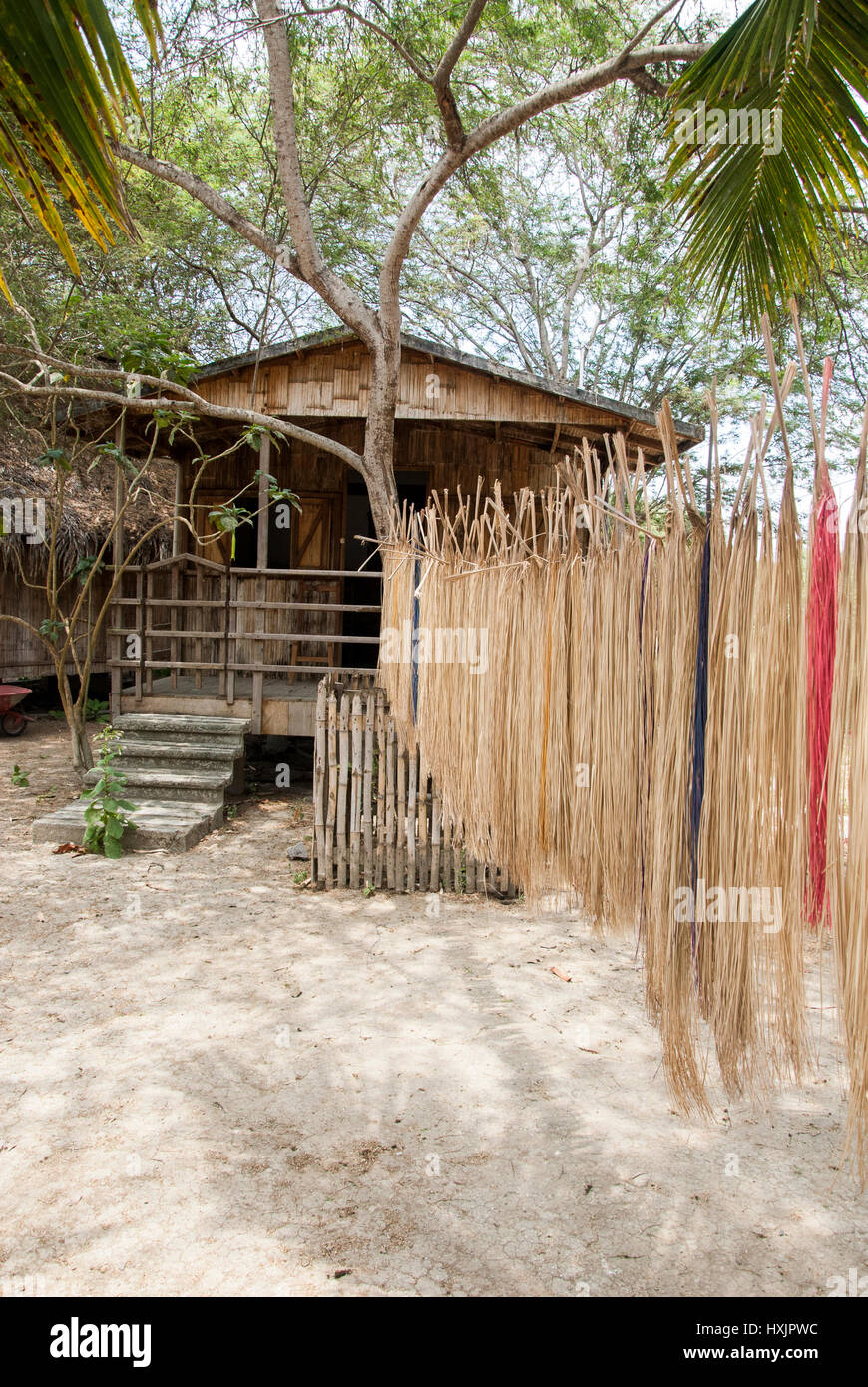 Brown manta hi-res stock photography and images - Alamy