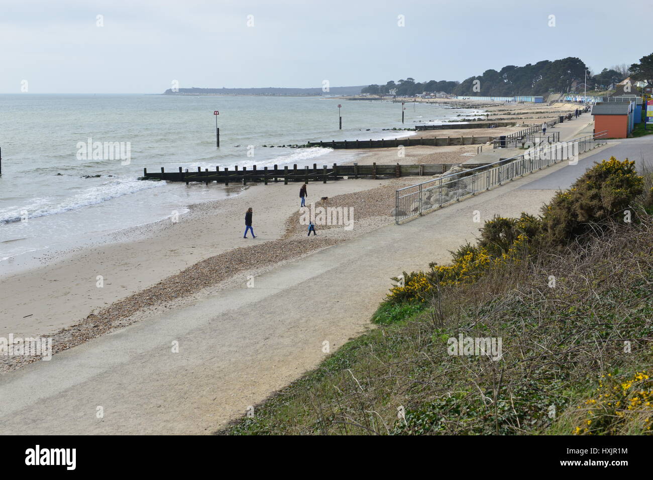 Avon beach pebbles hi-res stock photography and images - Alamy