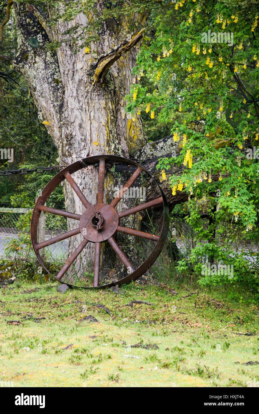 Colonial Time Period - Hand Crafted Wagon Wheel - Vintage Wagon Wheel ...