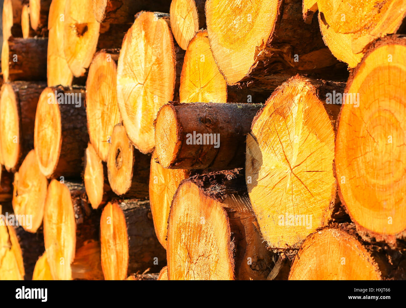 Stack of wood with logs in different sizes Stock Photo - Alamy