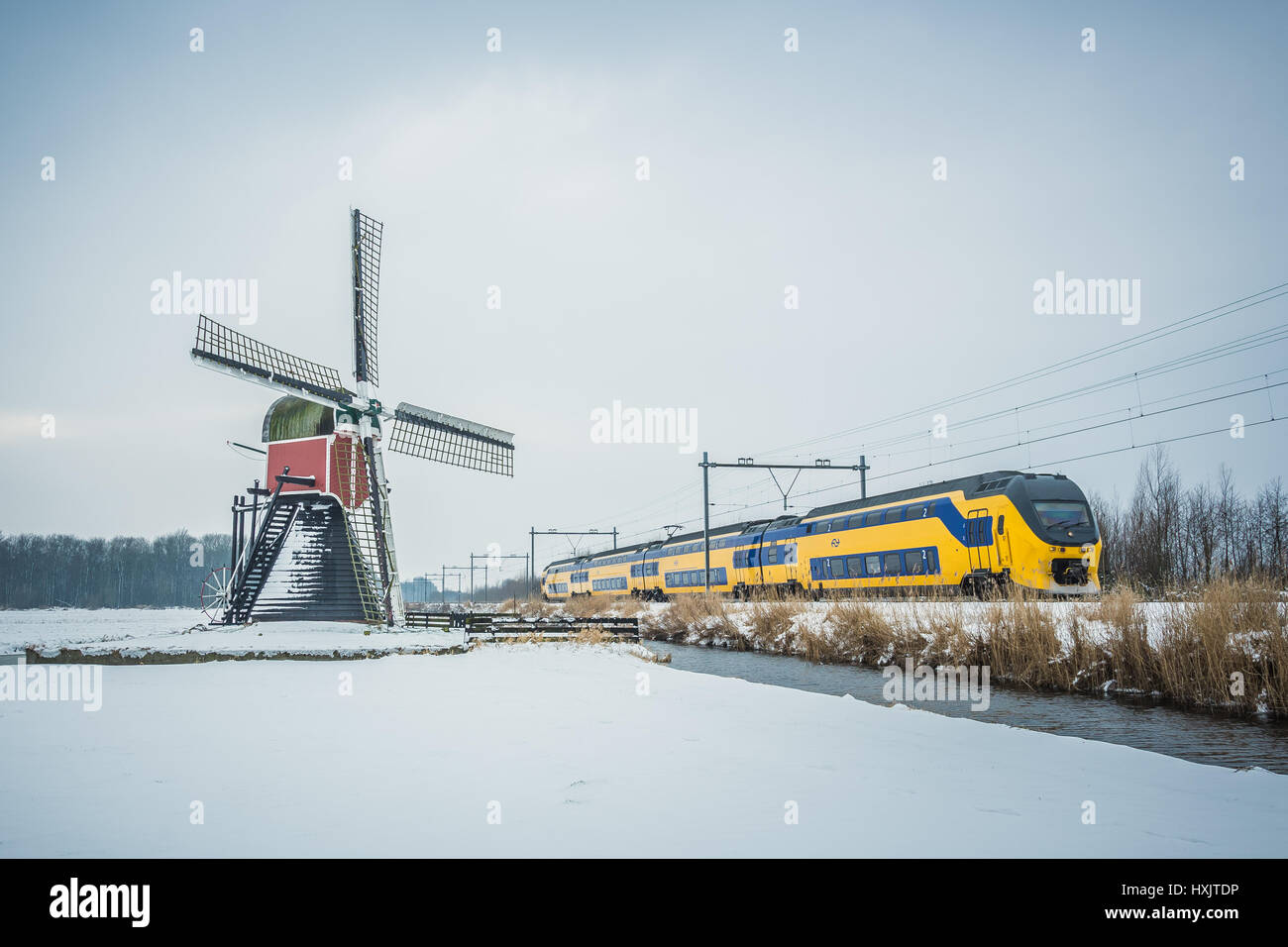 LISSE, THE NETHERLANDS - FEBRUARY 12, 2017 - dutch commuter train in a ...