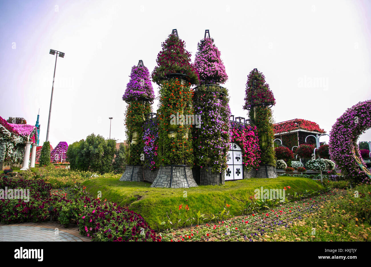 Flowers Miracle Garden in Dubai, United Arab Emirates Stock Photo - Alamy