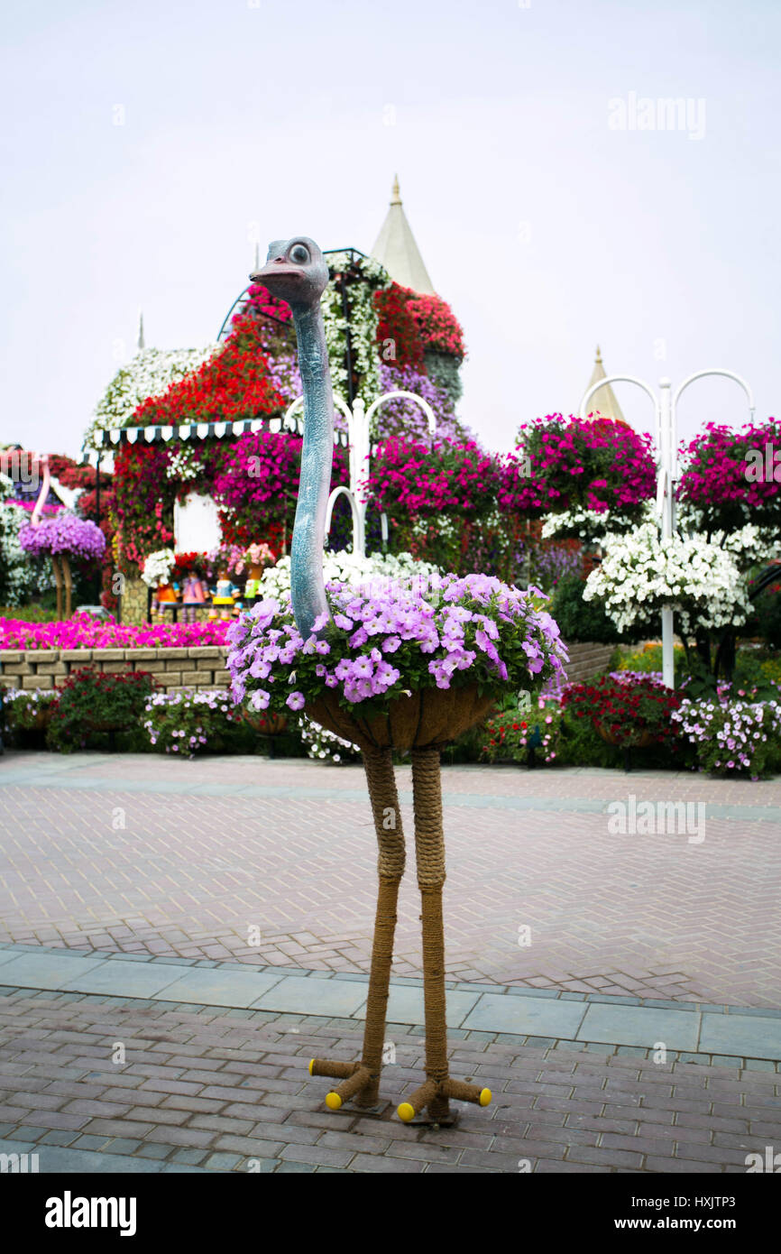 Flowers Miracle Garden in Dubai, United Arab Emirates Stock Photo - Alamy