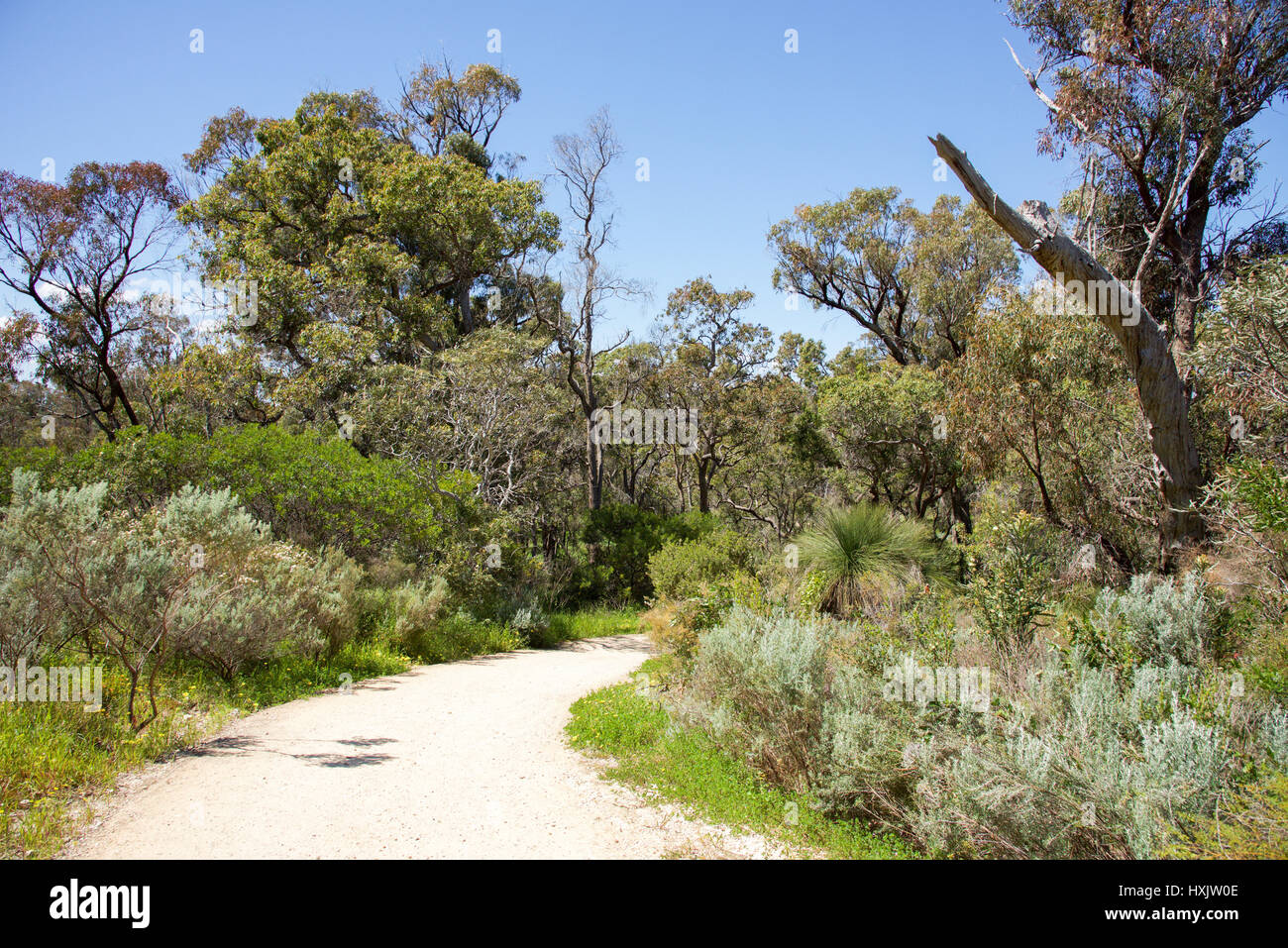 Bushland reserve hi-res stock photography and images - Alamy