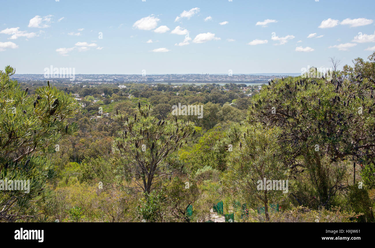 Bold park western australia hi-res stock photography and images - Alamy