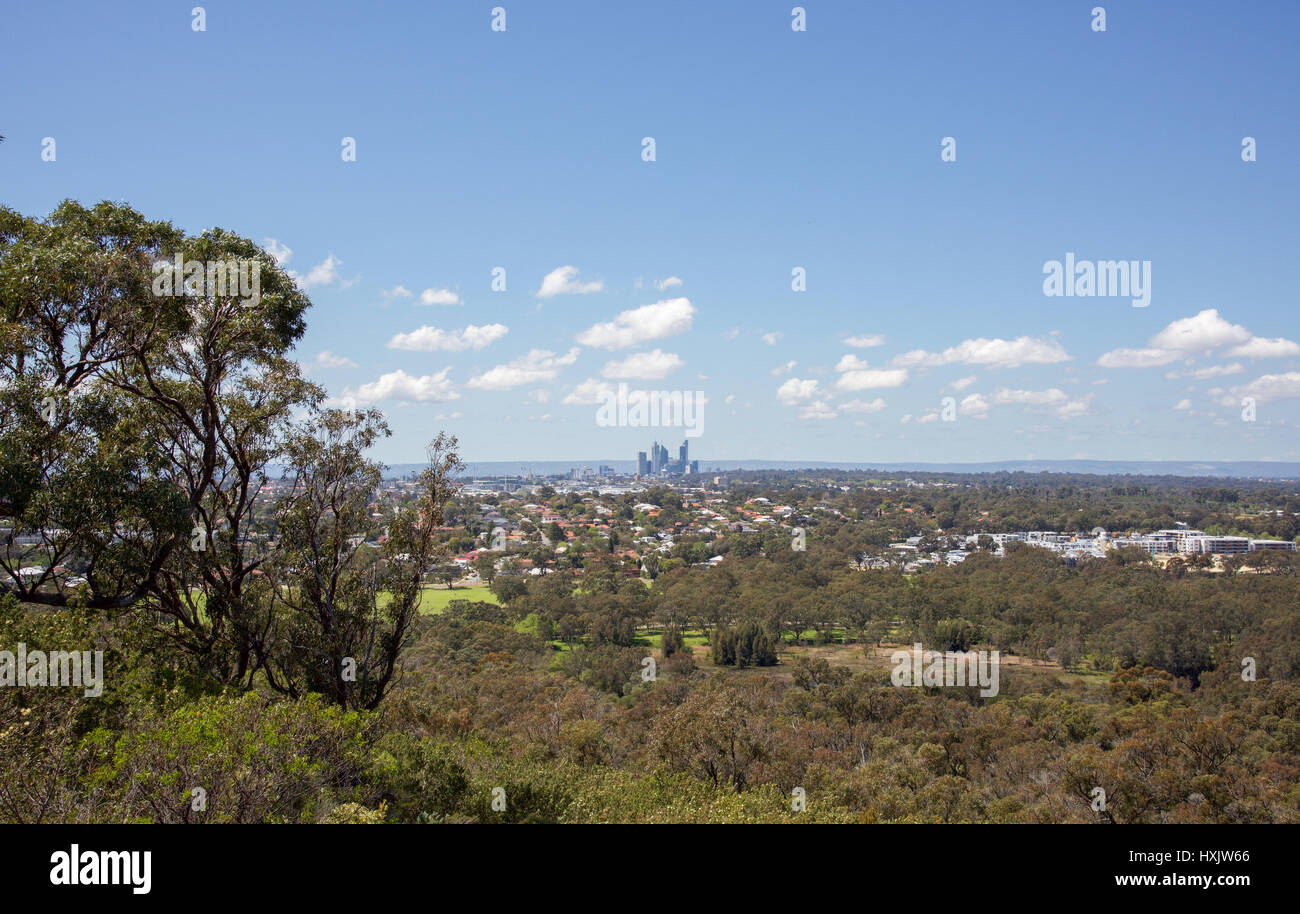 Bold Park Western Australia High Resolution Stock Photography and ...
