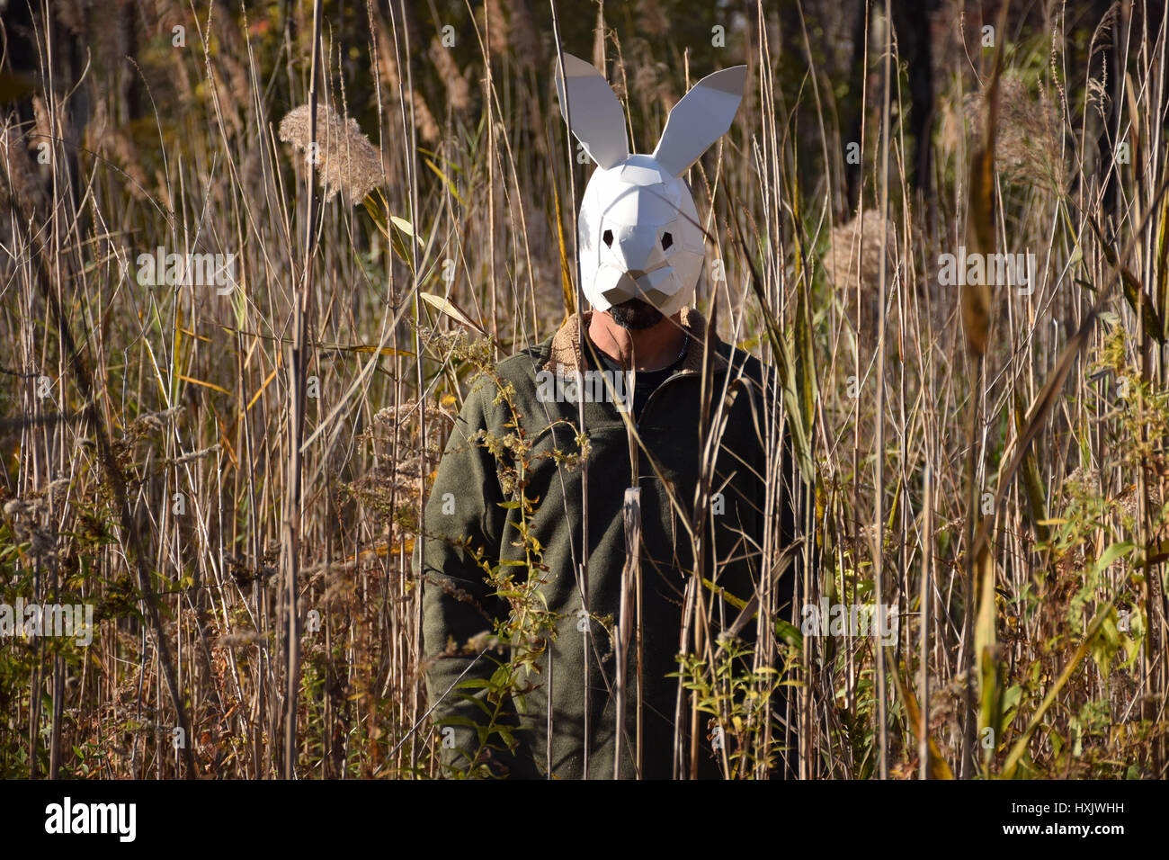 Bizarre nature hi-res stock photography and images - Alamy