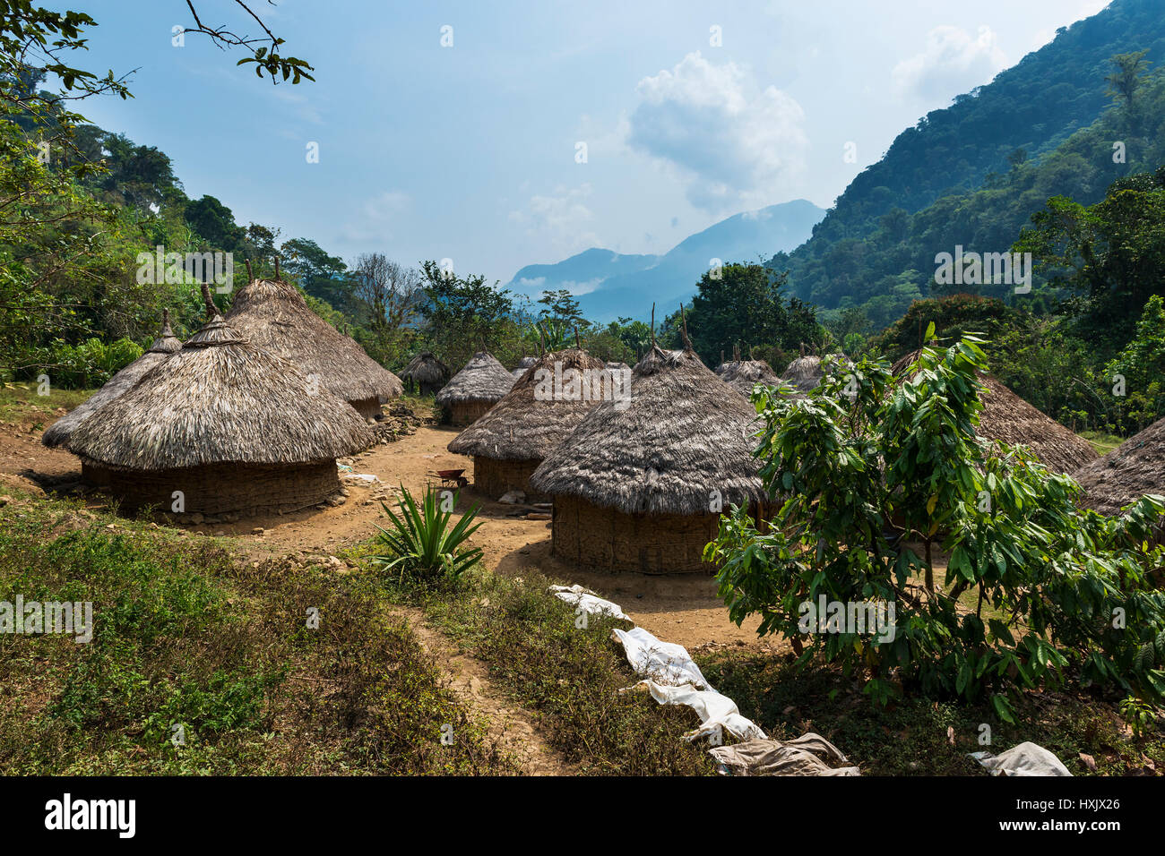 Kogi village in the forest in the Sierra Nevada de Santa Marta in ...