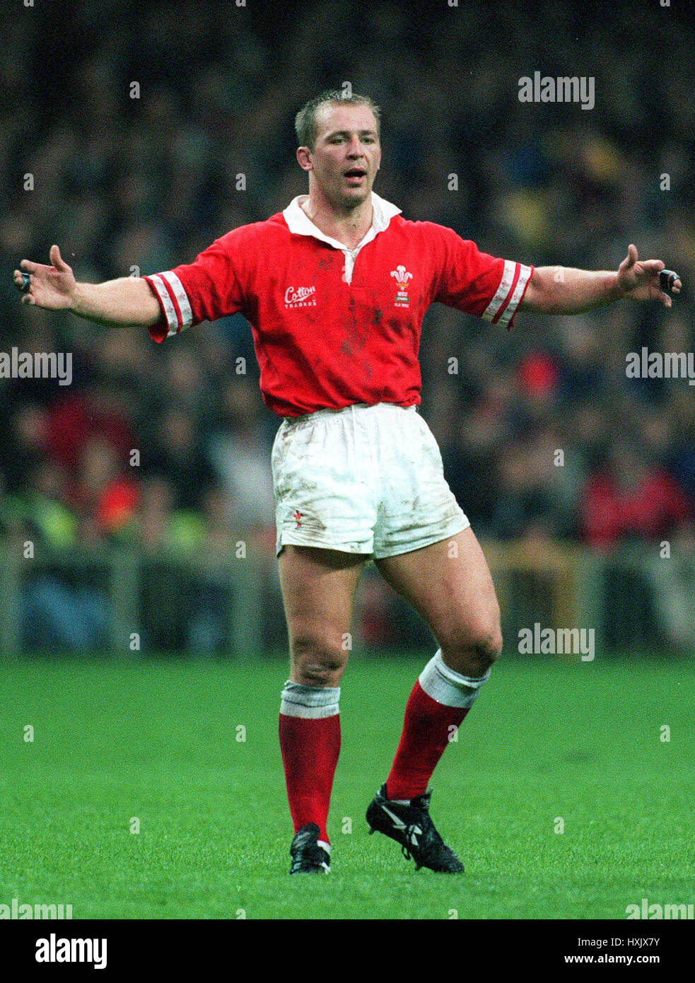 ANTHONY BENNETT WALES 24 November 1995 Stock Photo - Alamy