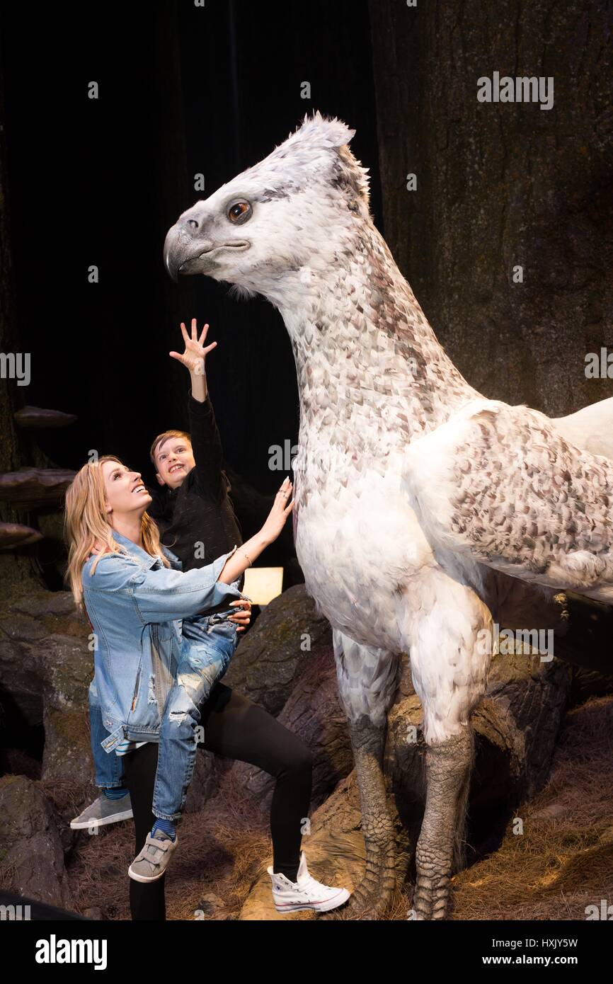 Harry potter son hi-res stock photography and images - Alamy