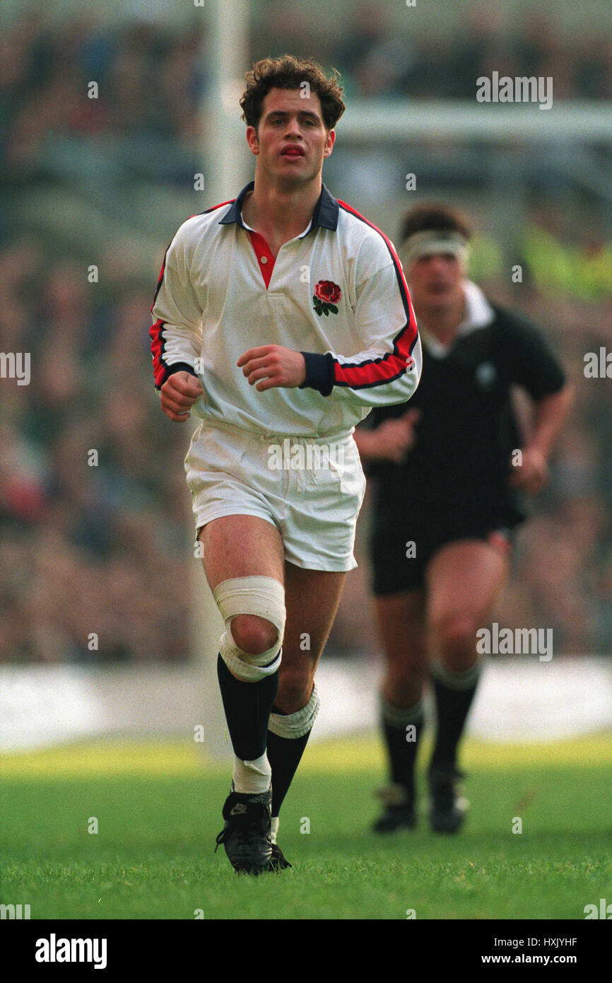 Steve gordon hi-res stock photography and images - Alamy