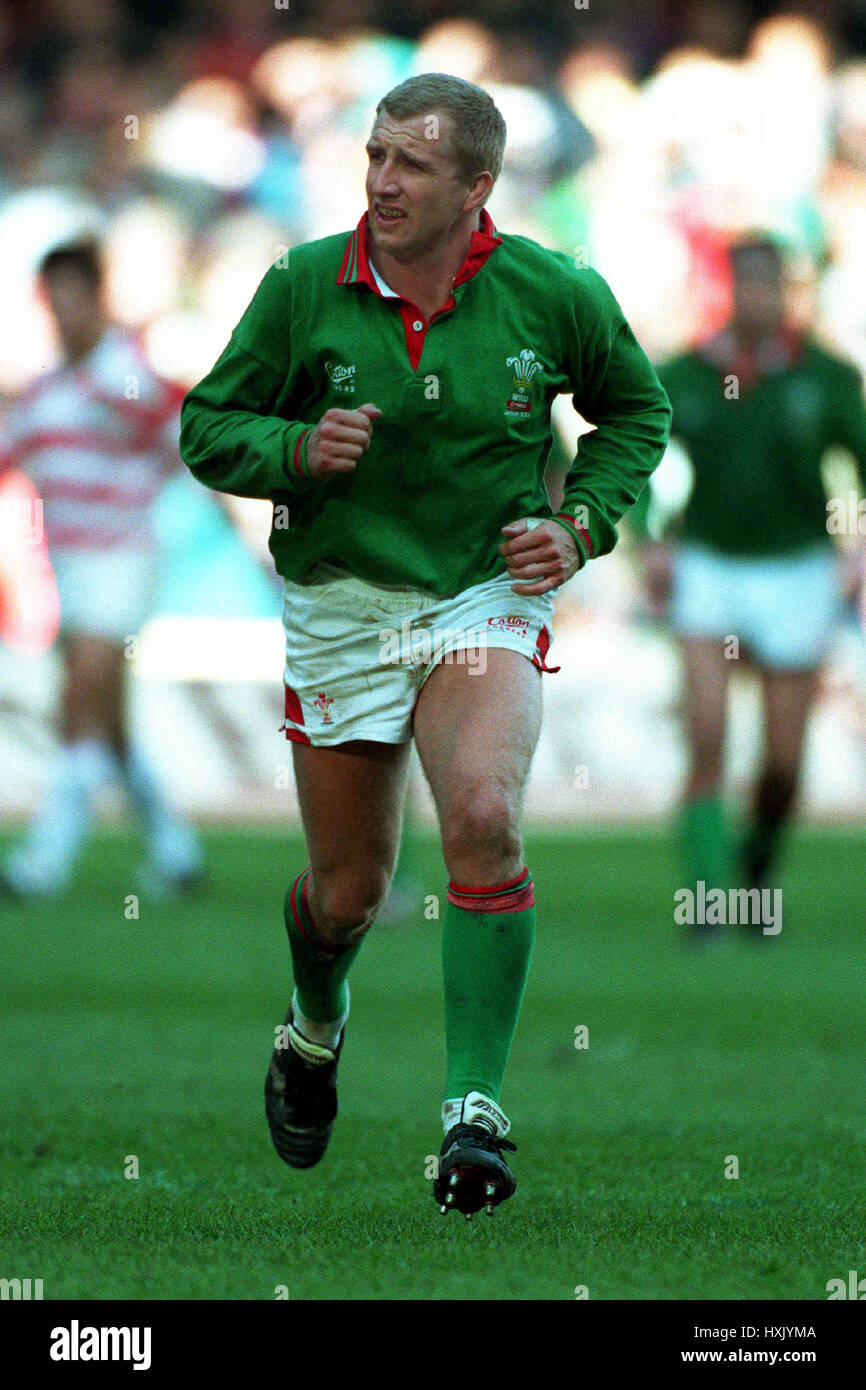 LYN JONES WALES 20 October 1993 Stock Photo - Alamy