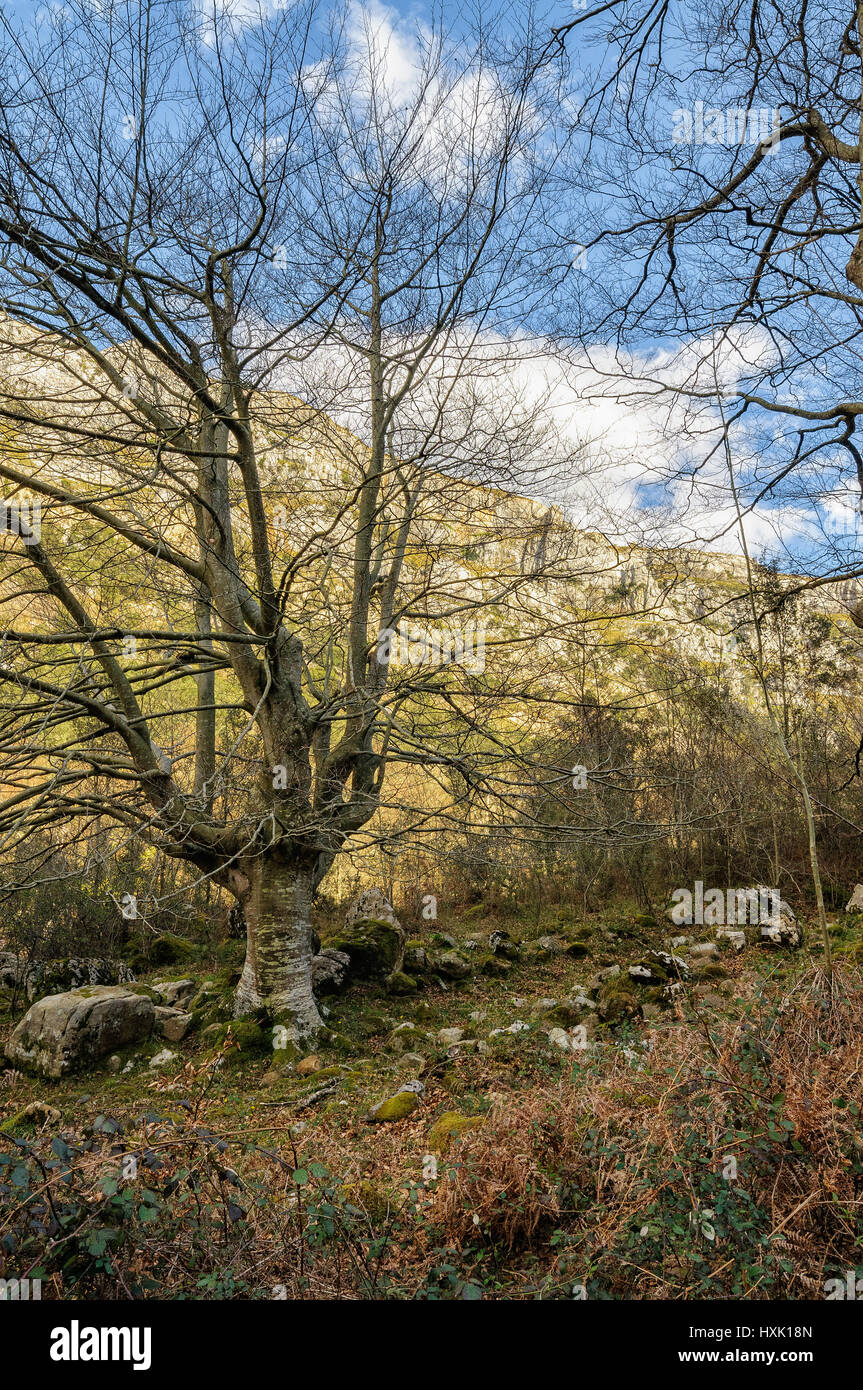 Spring of ason river hi-res stock photography and images - Alamy