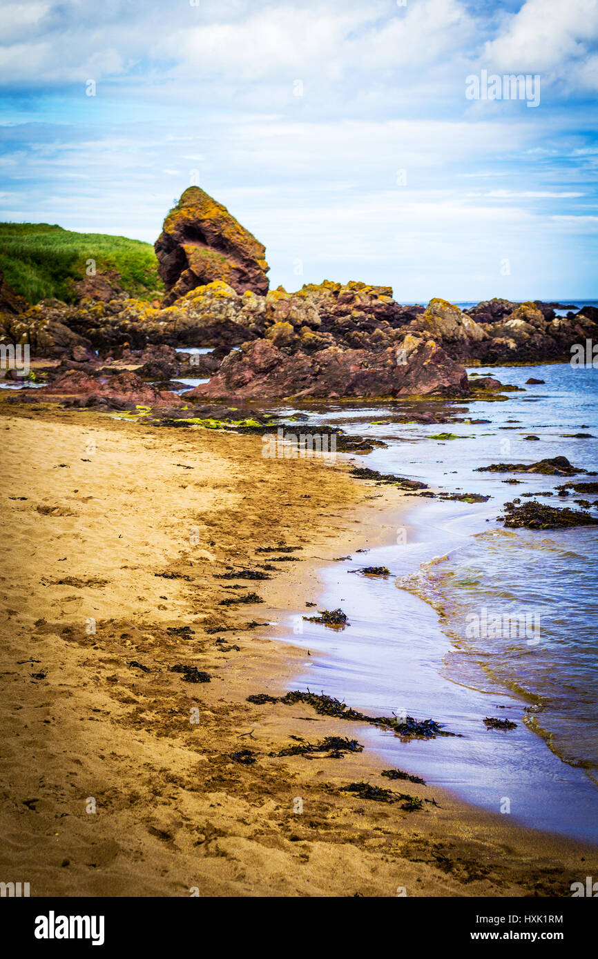 Scottish coastline with beautiful cliffs Stock Photo - Alamy