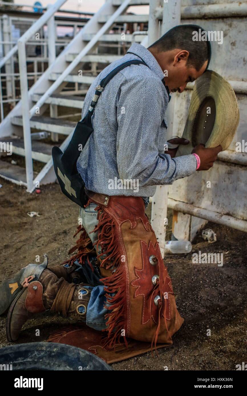 Report about rodeo riders and environment around this Vaquero sport ...