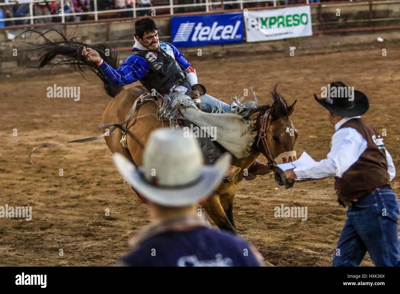 Mexican vaquero chihuahua hi-res stock photography and images - Alamy
