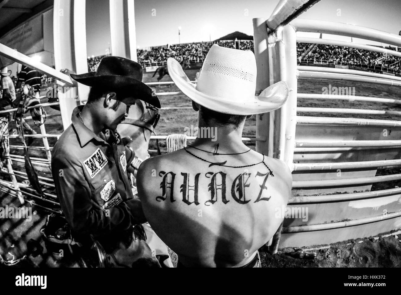 Report about rodeo riders and environment around this Vaquero sport ...