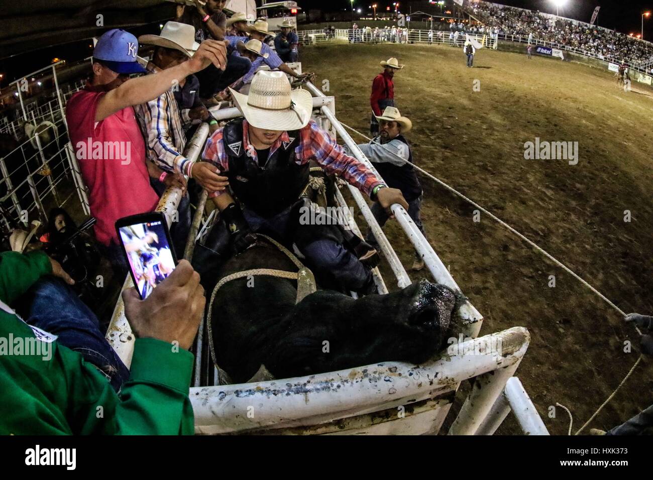 Report about rodeo riders and environment around this Vaquero sport ...