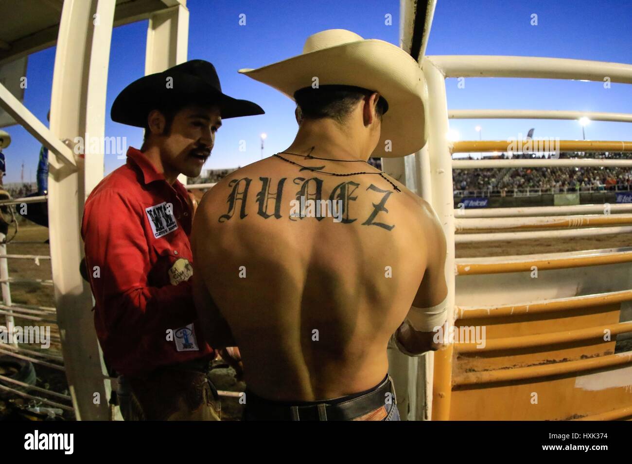 Report about rodeo riders and environment around this Vaquero sport ...