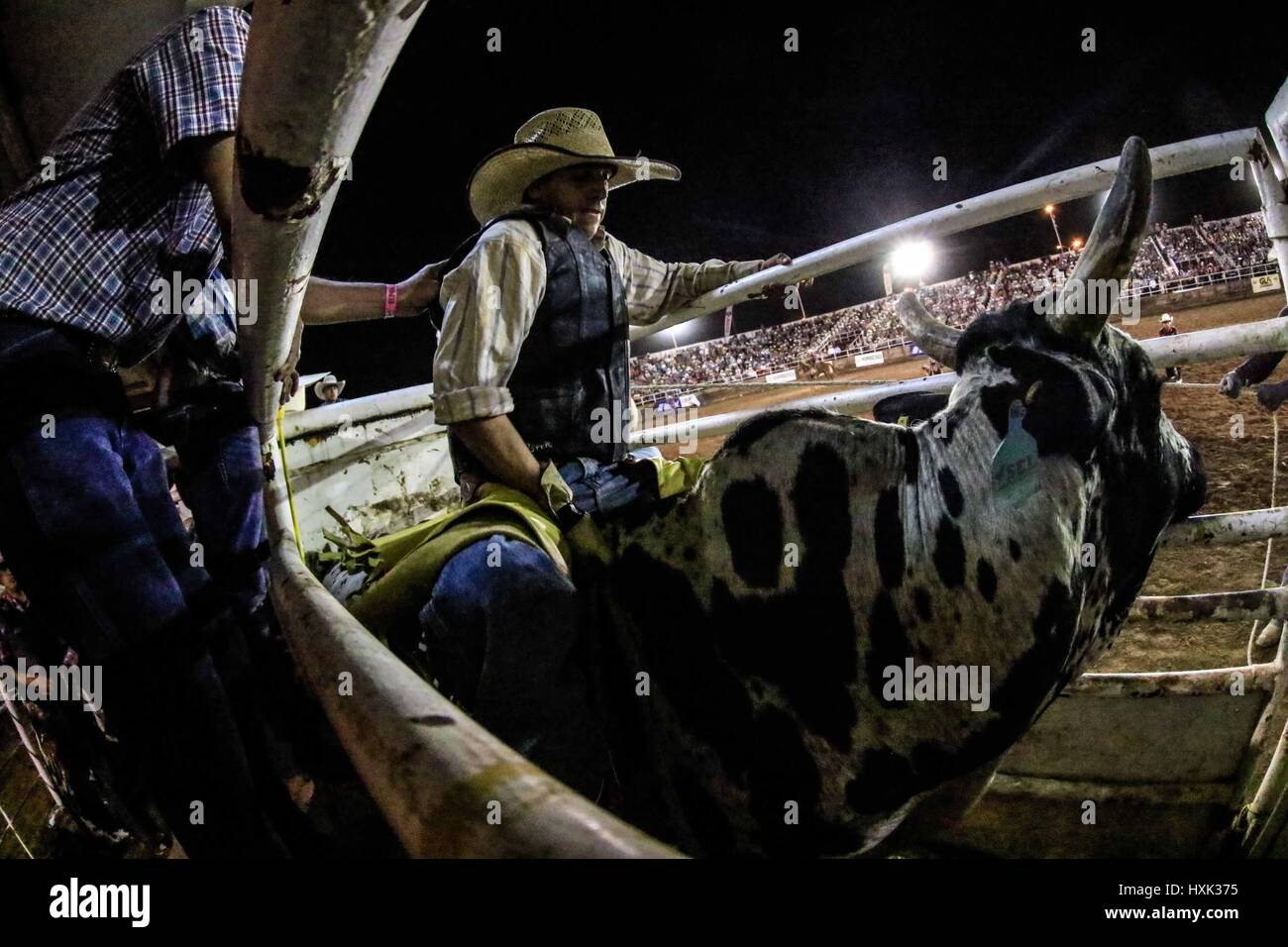 Report about rodeo riders and environment around this Vaquero sport ...