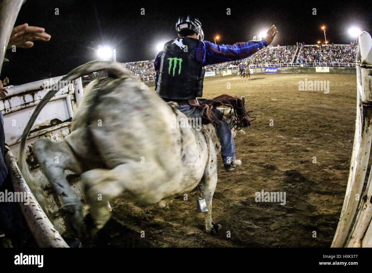 Vaquero brasil hi-res stock photography and images - Alamy