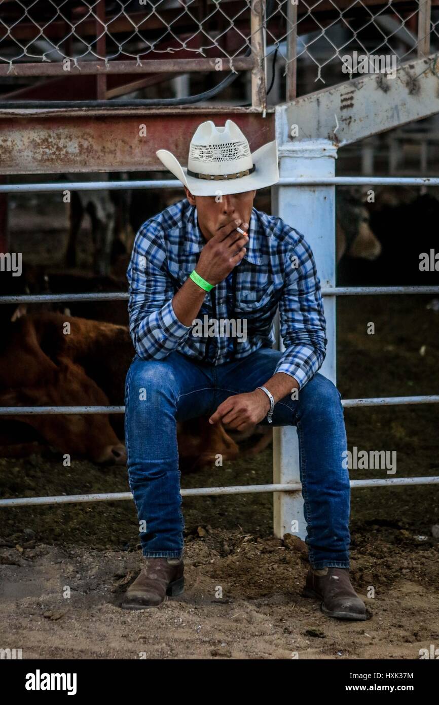 Report about rodeo riders and environment around this Vaquero sport ...