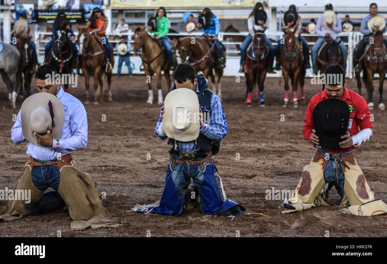 Report about rodeo riders and environment around this Vaquero sport ...