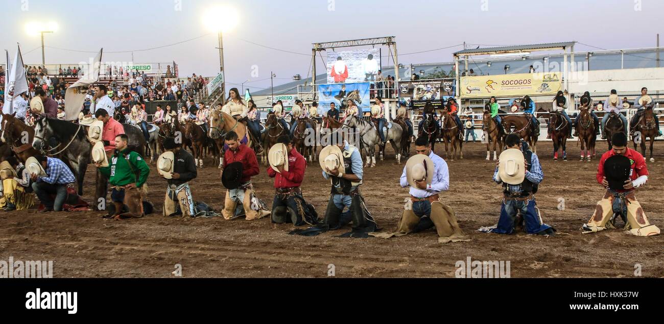 Report about rodeo riders and environment around this Vaquero sport ...