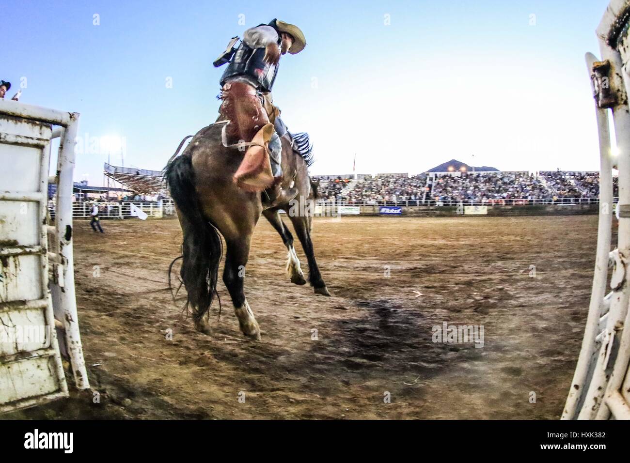 Report about rodeo riders and environment around this Vaquero sport ...