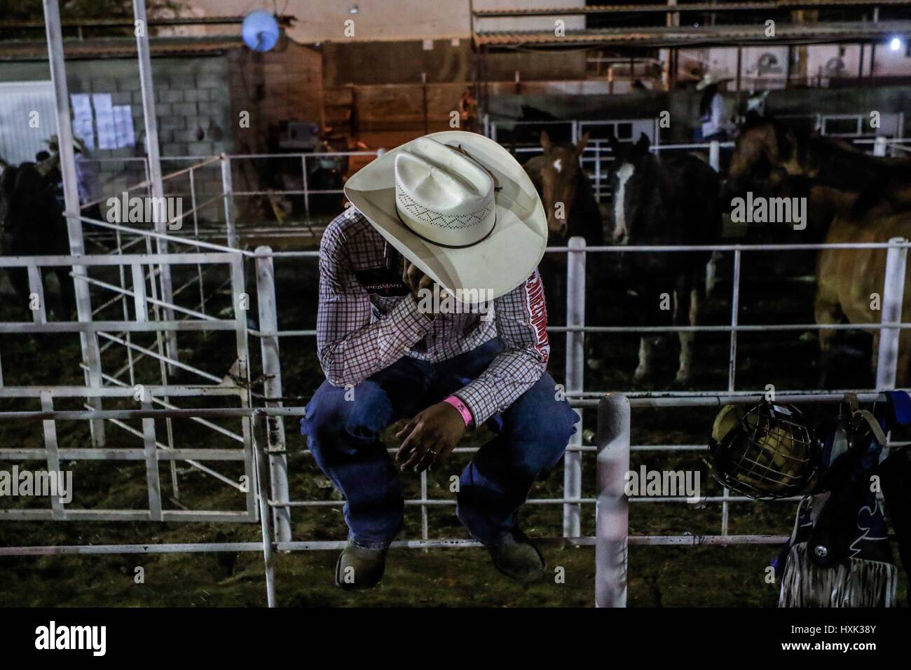 Report about rodeo riders and environment around this Vaquero sport ...