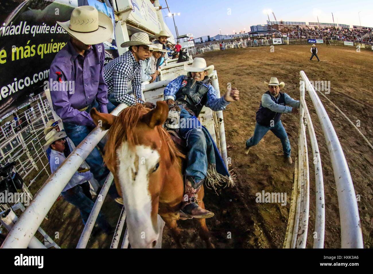 Vaquero brasil hi-res stock photography and images - Alamy