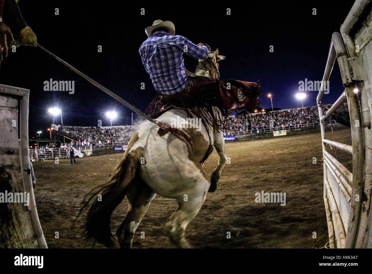 Report about rodeo riders and environment around this Vaquero sport ...
