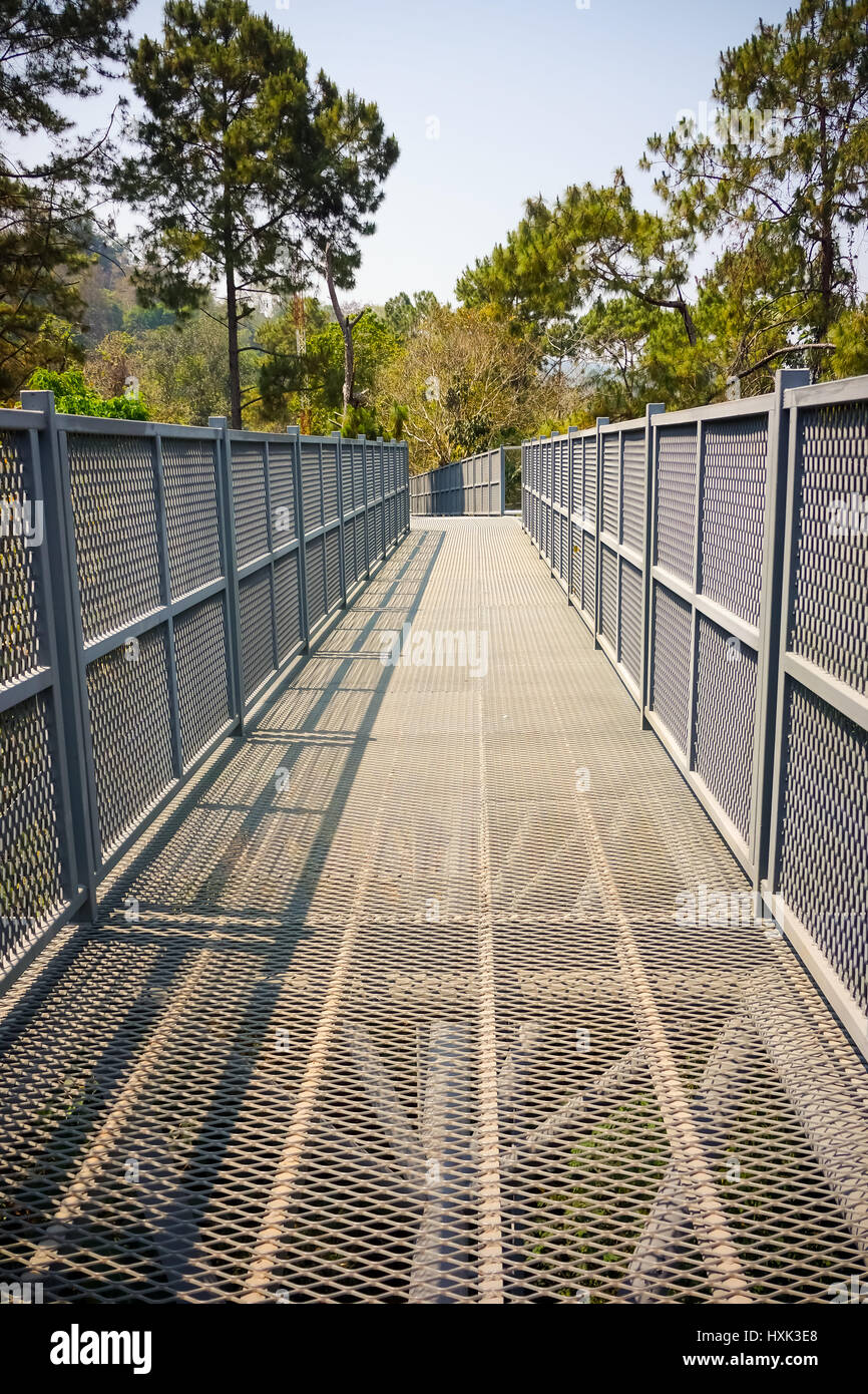 Canopy bridge mexico hi-res stock photography and images - Alamy
