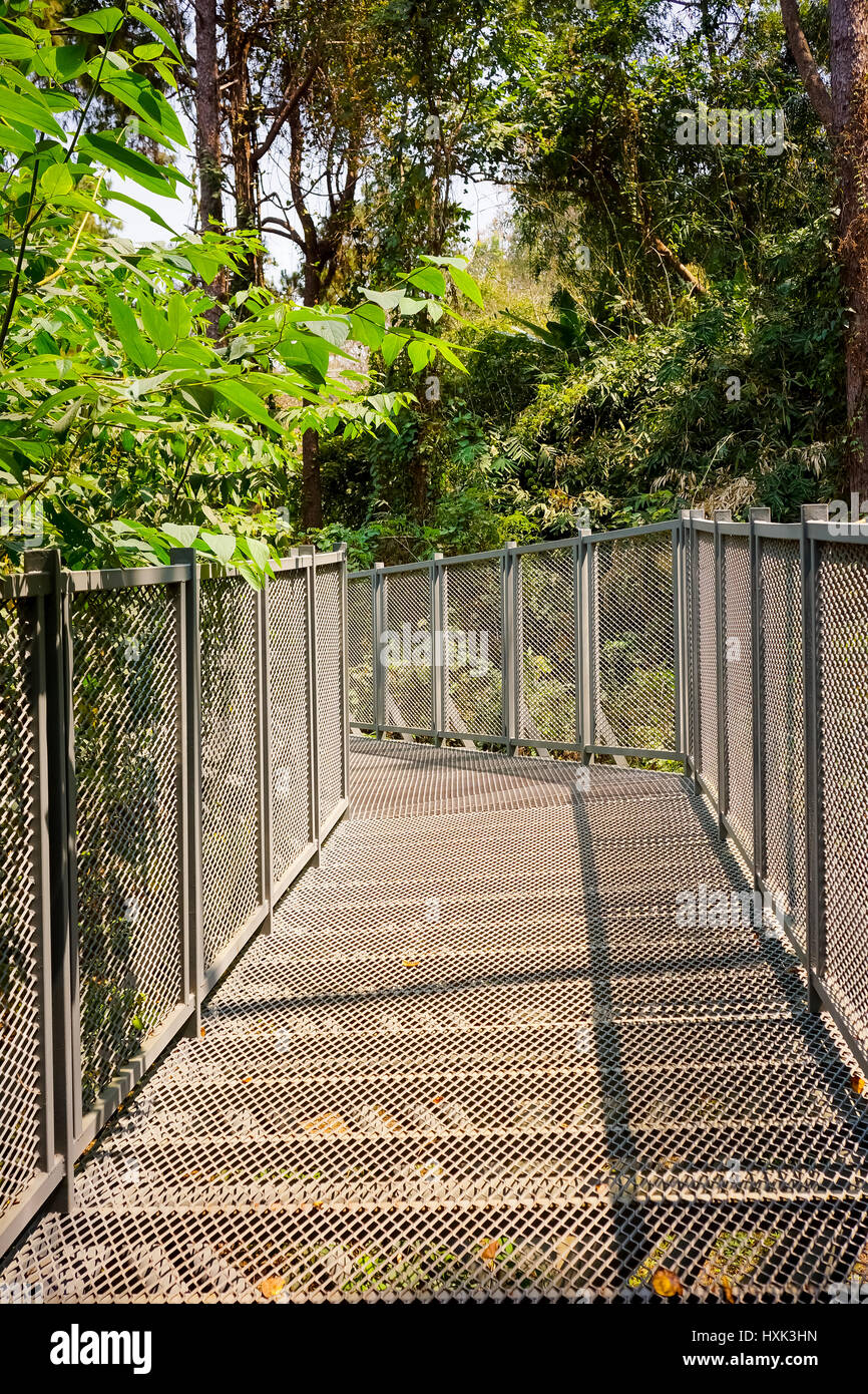 Canopy walk in subtropical hi-res stock photography and images - Alamy