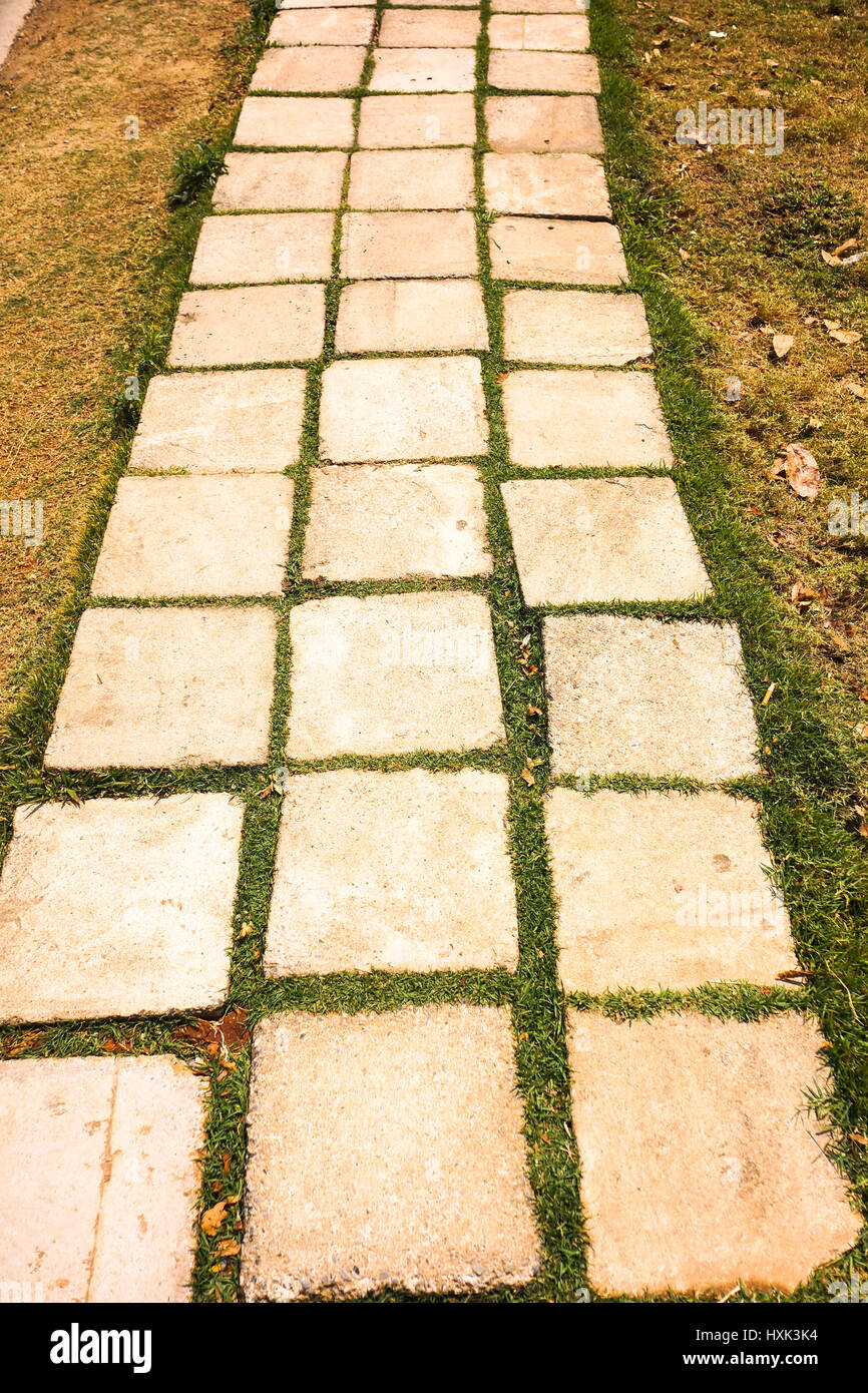 The Stone block walk path with green grass Stock Photo - Alamy