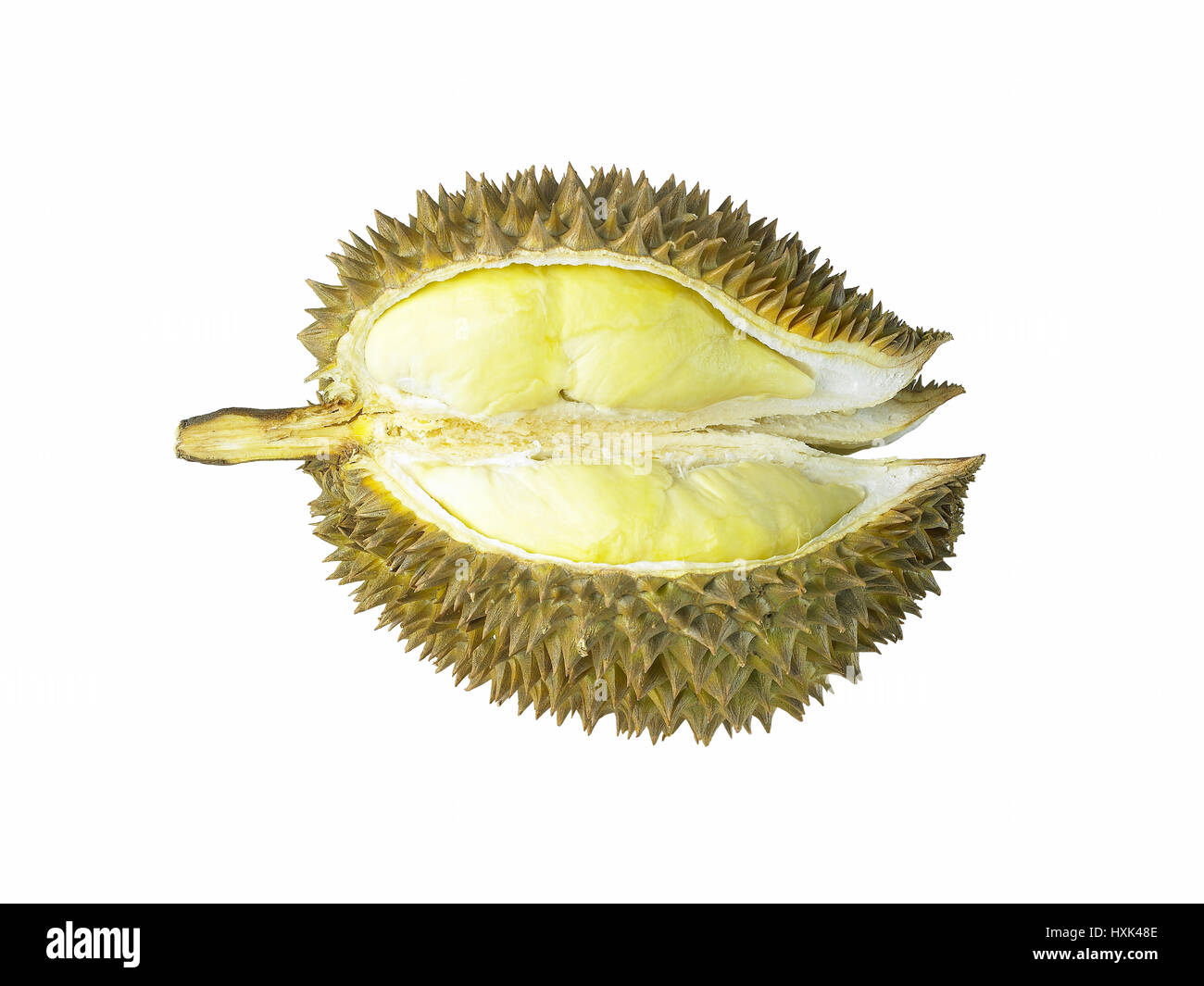 Cross section the fruit the durian hi-res stock photography and images ...