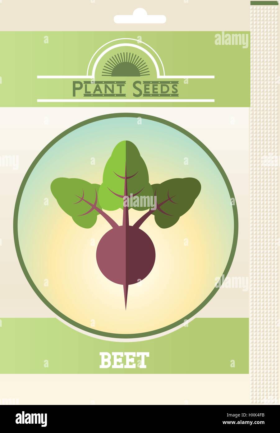 Pack of Beet seeds icons Stock Vector Image & Art - Alamy