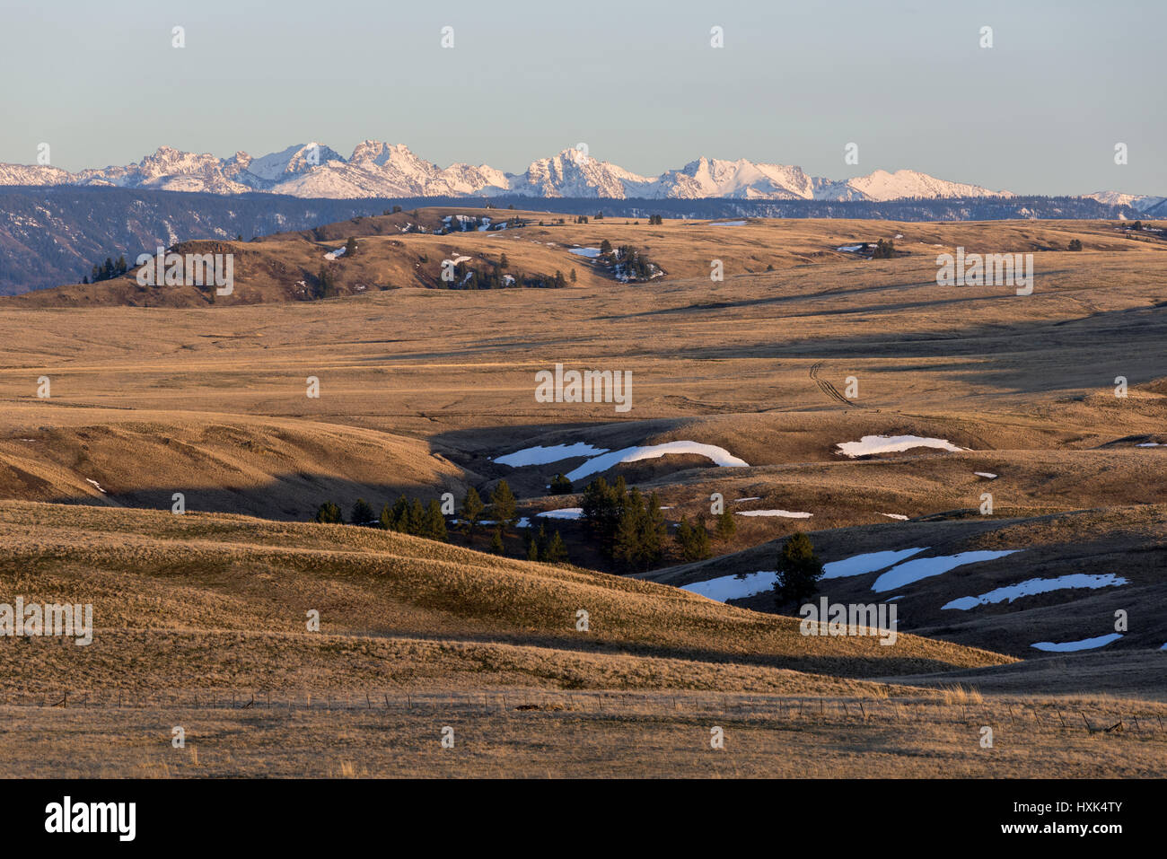 Zumwalt prairie nature conservancy wallowa county hi-res stock ...