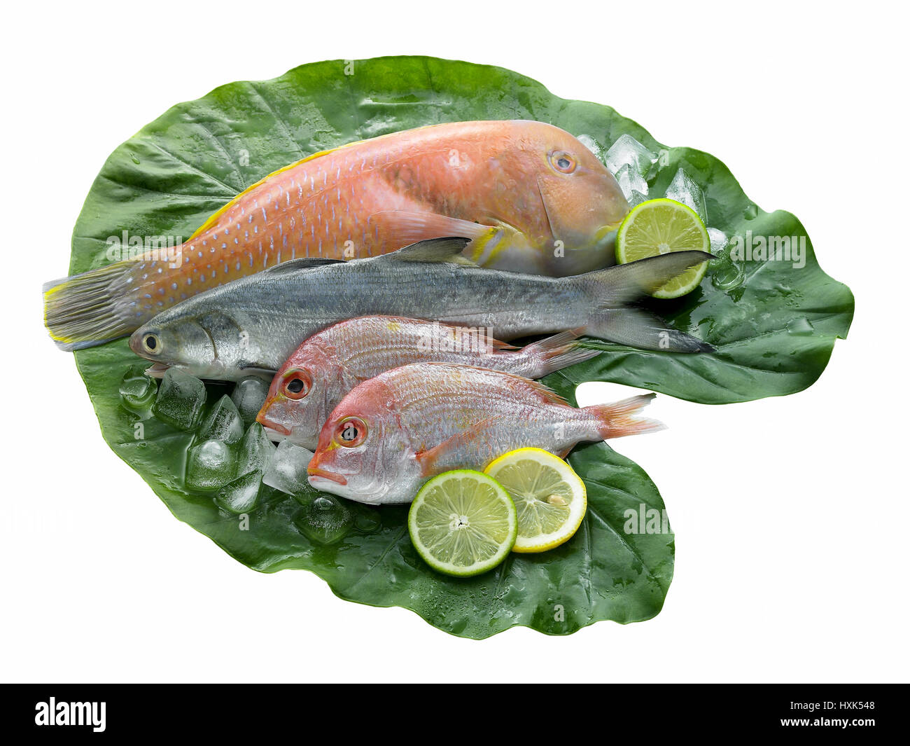 Fresh Meat & Seafood Stock Photo - Alamy
