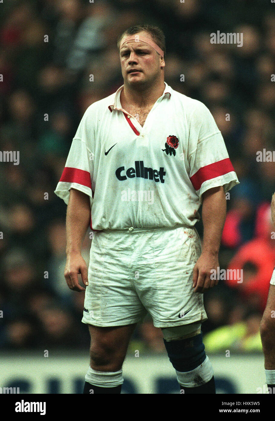 Will green hi-res stock photography and images - Alamy