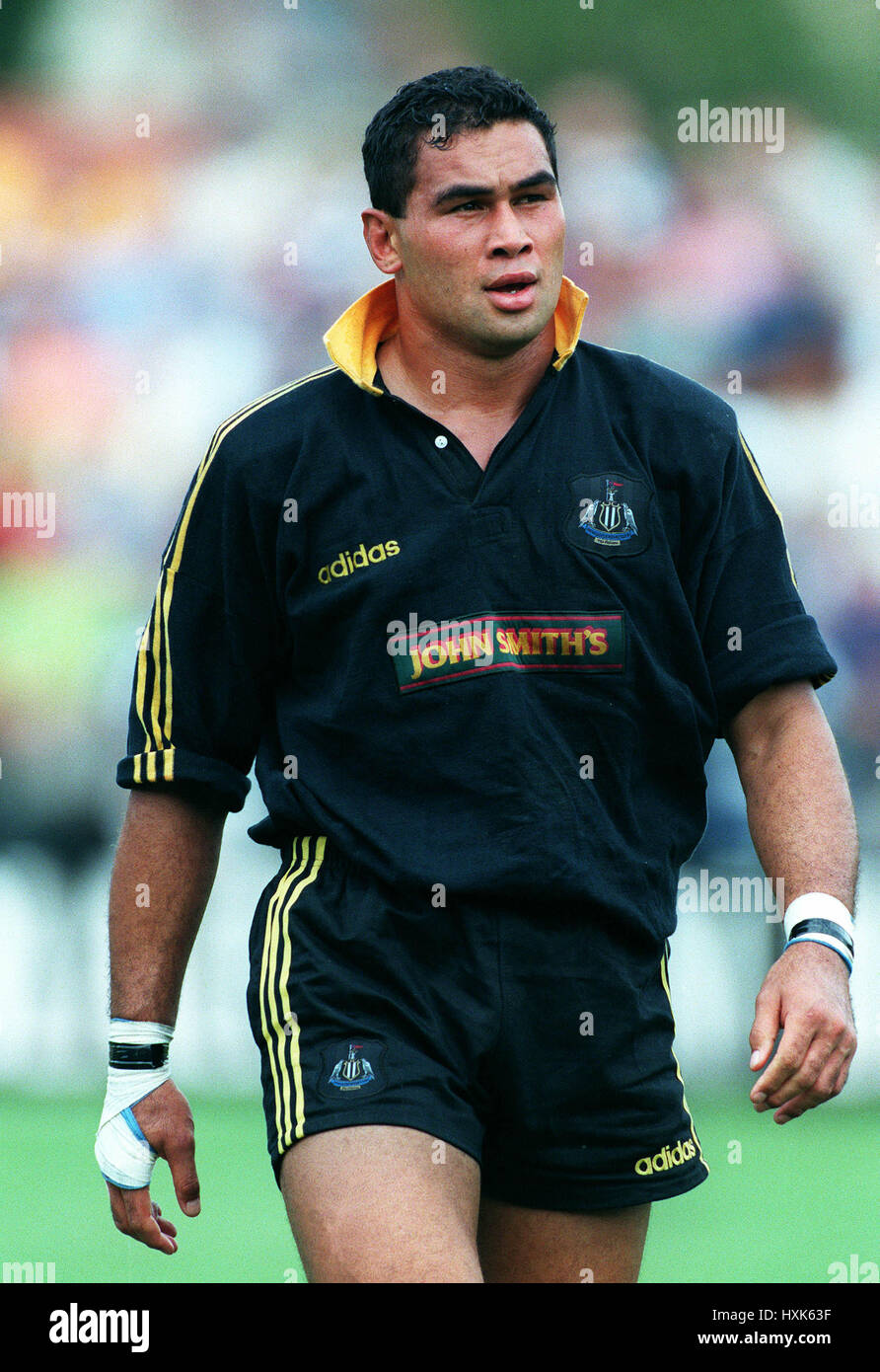 Pat Lam Rugby High Resolution Stock Photography and Images - Alamy