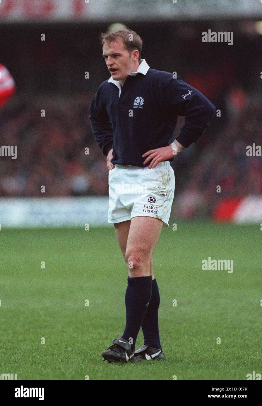 GREGOR TOWNSEND SCOTLAND & NORTHAMPTON RU 23 February 1996 Stock Photo ...