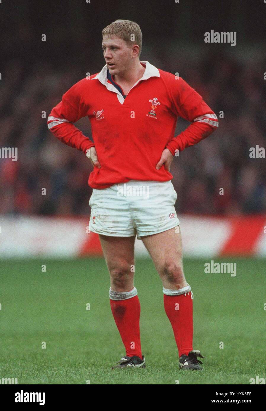 RHODRI JONES WALES & LLANELLI RU 23 February 1996 Stock Photo - Alamy