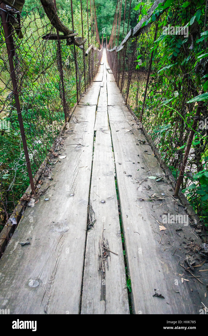 Forest rope bridge hike hi-res stock photography and images - Alamy